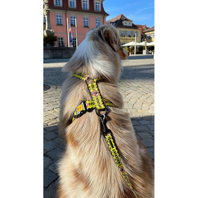 Hundegeschirre Guard Gelb Bitte Nicht Anfassen