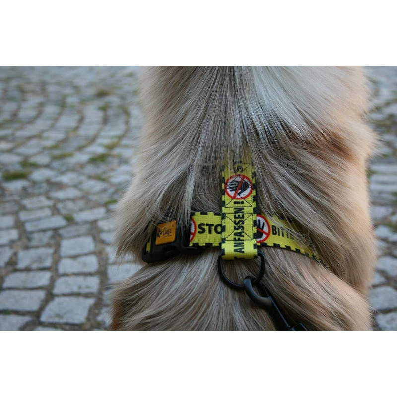 Hundegeschirre Guard Gelb Bitte Nicht Anfassen